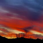 Phoenix: Amazing Two-Hour Guided Hike in the Sonoran Desert - Authentic Experiences Through Real Reviews