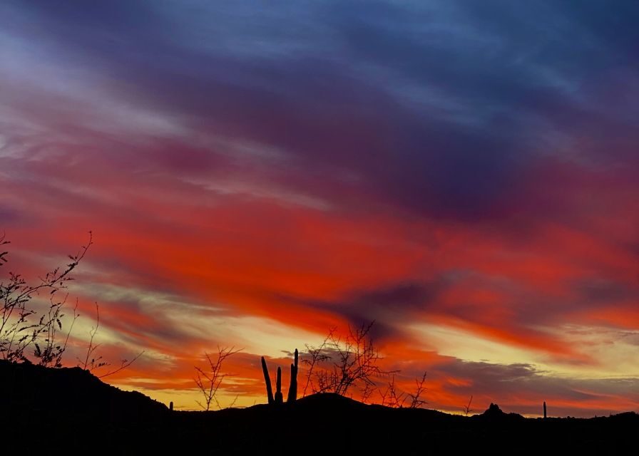 Phoenix: Amazing Two-Hour Guided Hike in the Sonoran Desert - Authentic Experiences Through Real Reviews