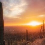 Phoenix Landmarks Tour Desert Botanical Garden - Musical Instrument Museum: A Melodic Treasure