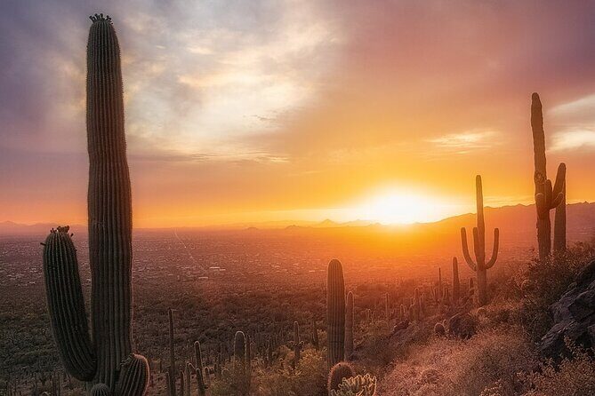 Phoenix Landmarks Tour Desert Botanical Garden - Musical Instrument Museum: A Melodic Treasure