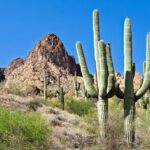 Phoenix/Scottsdale: Apache Trail Tour & Canyon Lake Cruise - Breaking Down the Itinerary