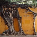 Photo Walking Tour Historic District Mazatlán - Who Is This Tour Best For?
