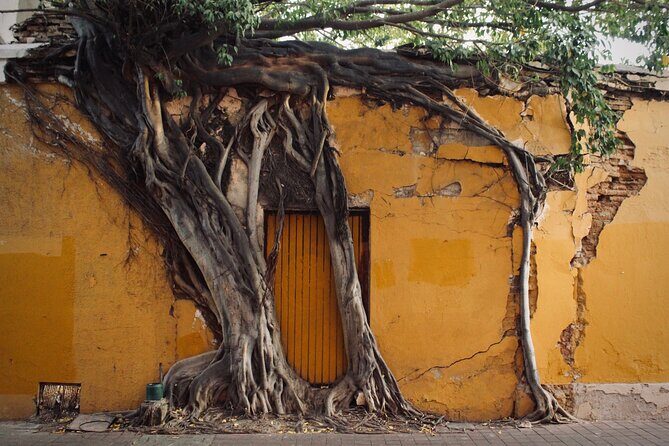 Photo Walking Tour Historic District Mazatlán - Who Is This Tour Best For?