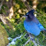 Photography & Advanced Hiking - What Travelers Are Saying