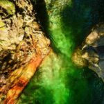 Photography in Rainforest & Suspension Bridge - The Sum Up