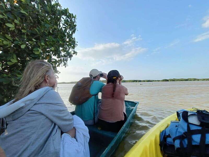 PICNIC ON A SANDBANK + KAYAK ADVENTURE FROM SISAL PUERTO - Practical Details and Tips