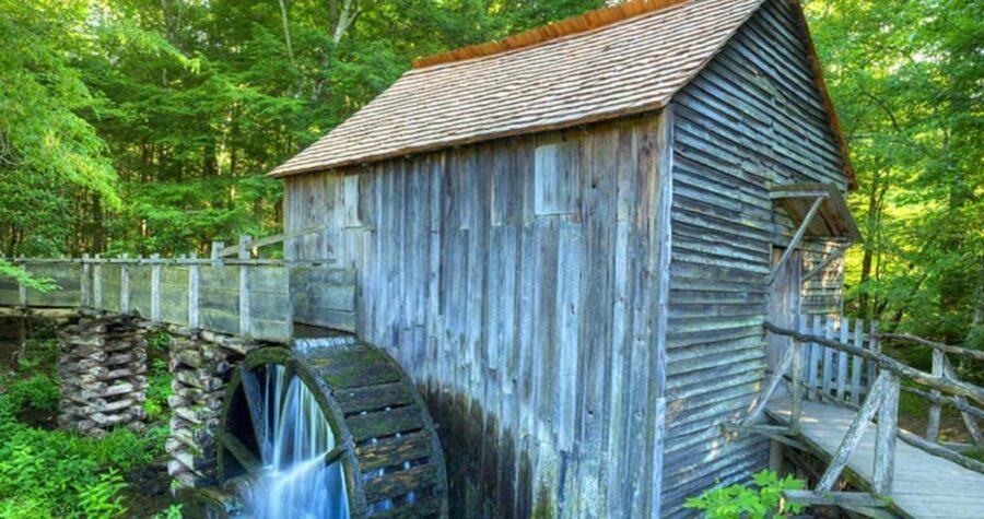 Pigeon Forge: Cades Cove Tour in a Pink Panorama Van - Who Will Love This Tour?