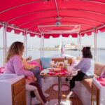 Pink Private Boat Cruise in San Diego! Bachelorette Birthday - How to Make the Most of Your Experience