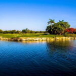 Play Hard Rock Golf Course W/Clubs - Who Should Consider This Tour?