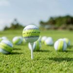 Play Moon Palace Golf Course W/Clubs - An In-Depth Look at Moon Palace Golf Course