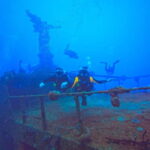 Playa del Carmen: 2-Tank Reef Dive - Practical Details & Value