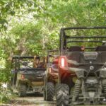 Playa del Carmen Buggy Tour with Cenote Swim and Mayan Village Visit - Overall Value and Who Will Love It