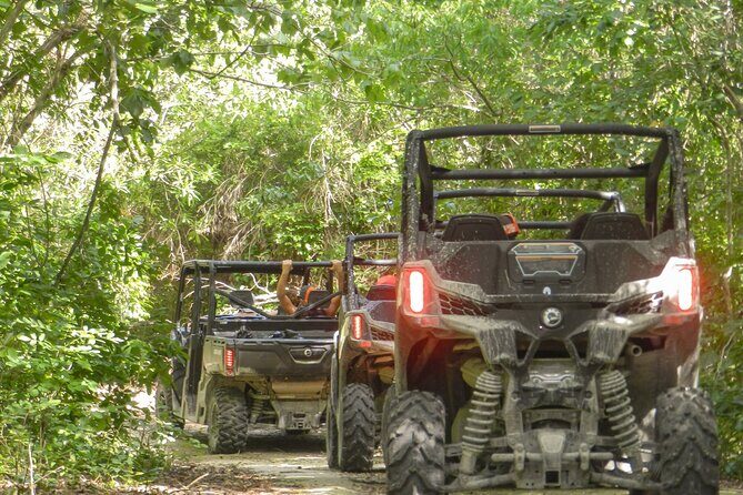 Playa del Carmen Buggy Tour with Cenote Swim and Mayan Village Visit - Overall Value and Who Will Love It