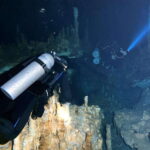 Playa del Carmen: Cenote Diving Experience - What You Can Expect from the Tour
