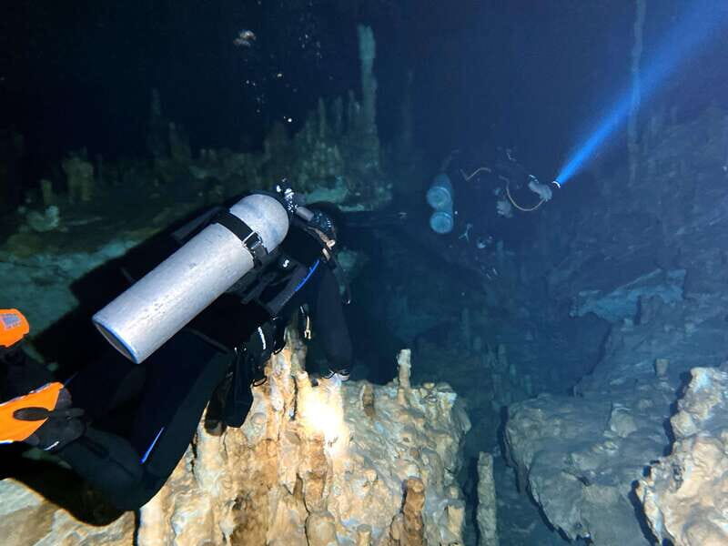 Playa del Carmen: Cenote Diving Experience - What You Can Expect from the Tour