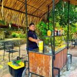 Playa del Carmen: Chichen Itza, Valladolid, Cenote & Buffet - The Value of the Tour