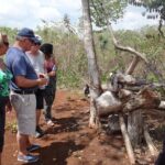Playa del Carmen Cultural Day Tour - Transportation and Comfort