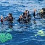 Playa del Carmen: Divemaster Course - The Practical Perspective
