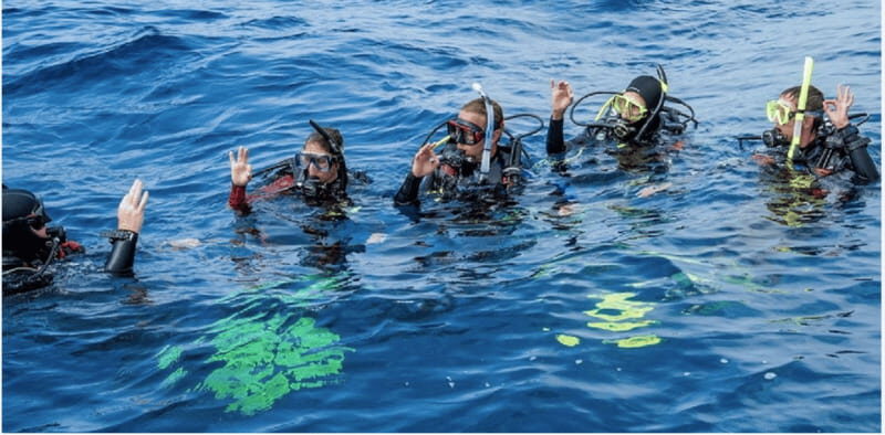 Playa del Carmen: Divemaster Course - The Practical Perspective