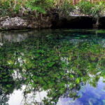 Playa del Carmen: Dual Realm Diving (Cenote + Reef Diving) - Why This Tour Excels