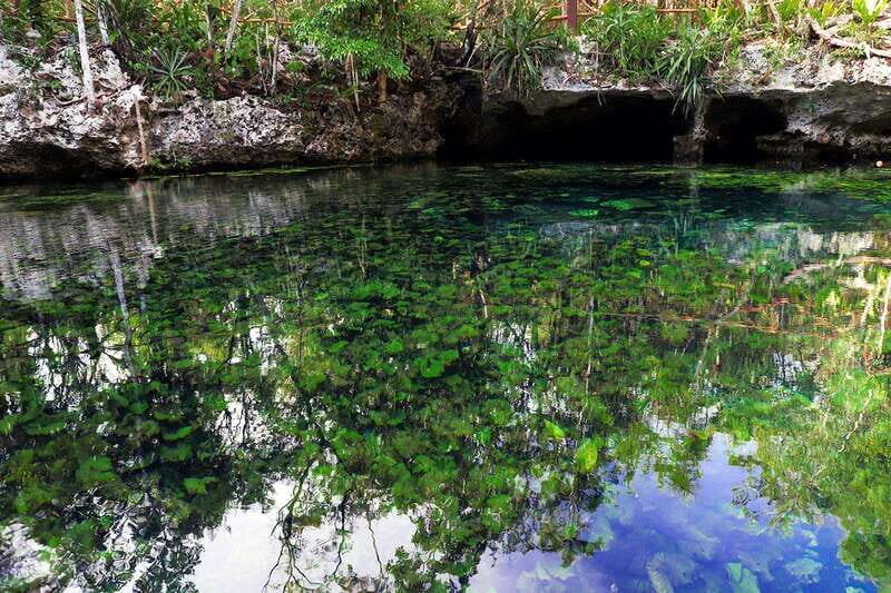 Playa del Carmen: Dual Realm Diving (Cenote + Reef Diving) - Why This Tour Excels