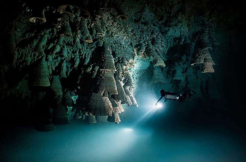 Playa del Carmen: Explore the Surreal World of Cenote Diving - The Value of This Cenote Tour