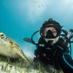 Playa del Carmen: Guided Reef Diving for Certified Divers - What You Can Expect from This Reef Diving Experience