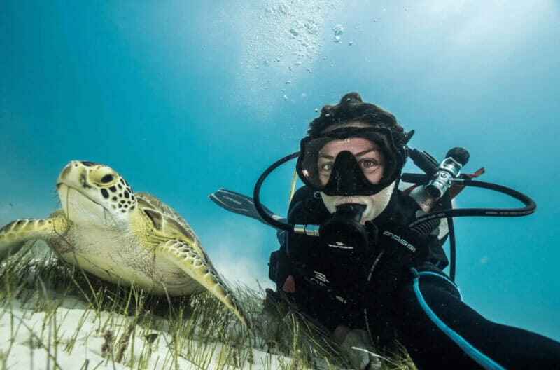 Playa del Carmen: Guided Reef Diving for Certified Divers - What You Can Expect from This Reef Diving Experience