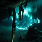 Playa del Carmen: Mind-Blowing Diving at Cenote Dos Ojos - Discovering Cenote Dos Ojos: An Underwater Wonderland