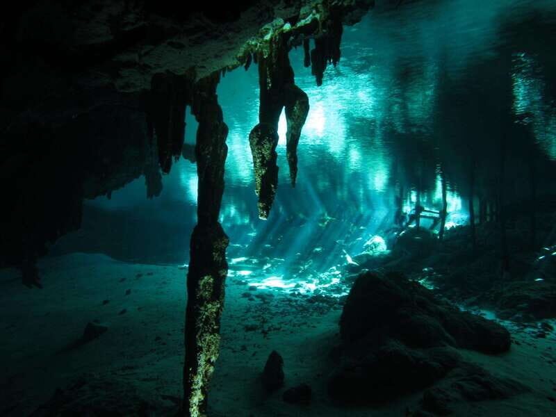Playa del Carmen: Mind-Blowing Diving at Cenote Dos Ojos - Discovering Cenote Dos Ojos: An Underwater Wonderland