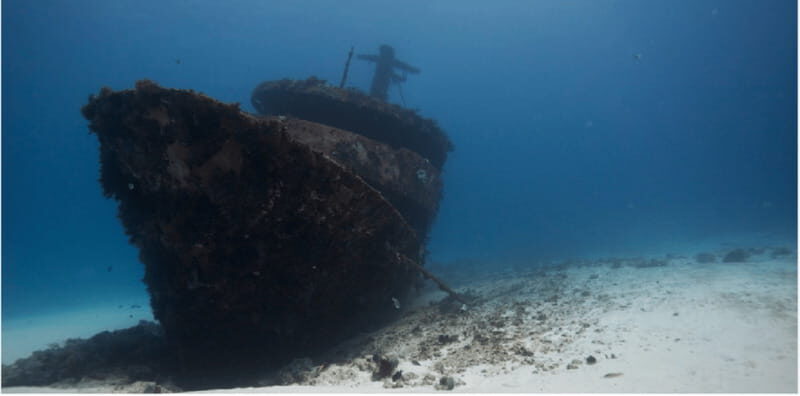 Playa del Carmen: Ocean Dive Tour - An In-Depth Look at the Playa del Carmen Ocean Dive Tour