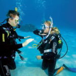 Playa del Carmen: PADI Advance Open Water in Riviera Maya - The Experience—What It Feels Like