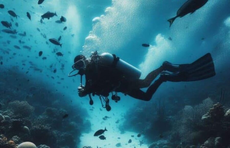 Playa del Carmen: Scuba Diving for certified divers - FAQ