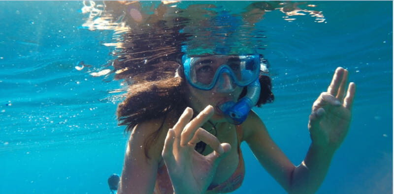 Playa del Carmen: Snorkel Tour at Local Reef - Authentic Experiences and Traveler Feedback