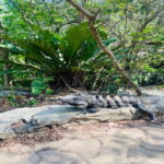 Playa del Carmen: Tour to Chichén Itzá and Valladolid - Is It Worth the Cost?
