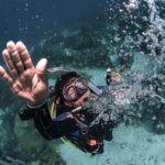 Playa del Carmen: Ultimate PADI Open Water Diver Experience - What Makes This Course Stand Out?