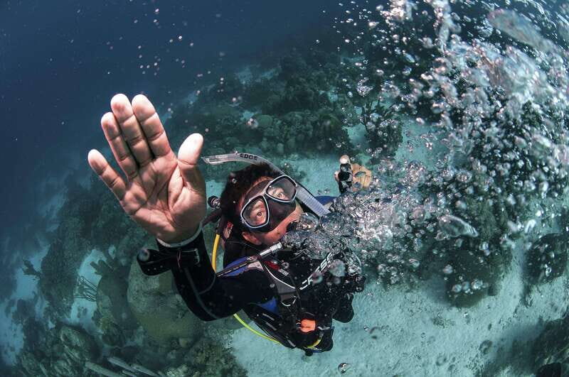 Playa del Carmen: Ultimate PADI Open Water Diver Experience - What Makes This Course Stand Out?