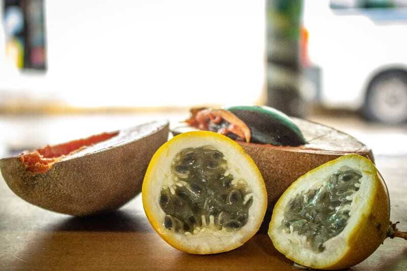 Playa del Carmen: Vegan Food Walking Tour - Why This Tour Stands Out