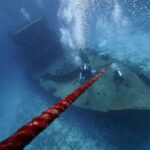 Playa del Carmen: Wreck Dive Mama Viña - A Detailed Look at the Wreck Dive Mama Viña Tour