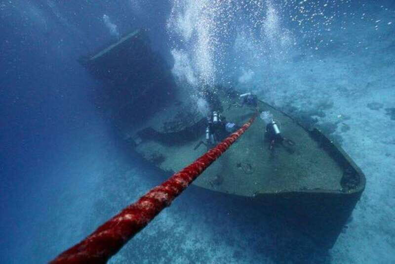 Playa del Carmen: Wreck Dive Mama Viña - A Detailed Look at the Wreck Dive Mama Viña Tour