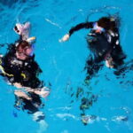 Playa: Diving Local Reef - Who Should Consider This Tour?