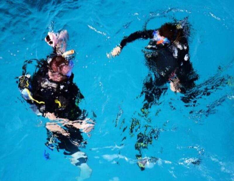 Playa: Diving Local Reef - Who Should Consider This Tour?