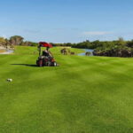 Playa Mujeres Golf Course - Who Will Love This Experience?