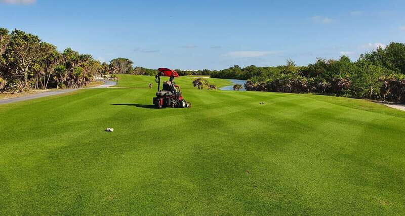 Playa Mujeres Golf Course - Who Will Love This Experience?