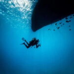 Playa: Night Dive - Who Should Consider This Tour?