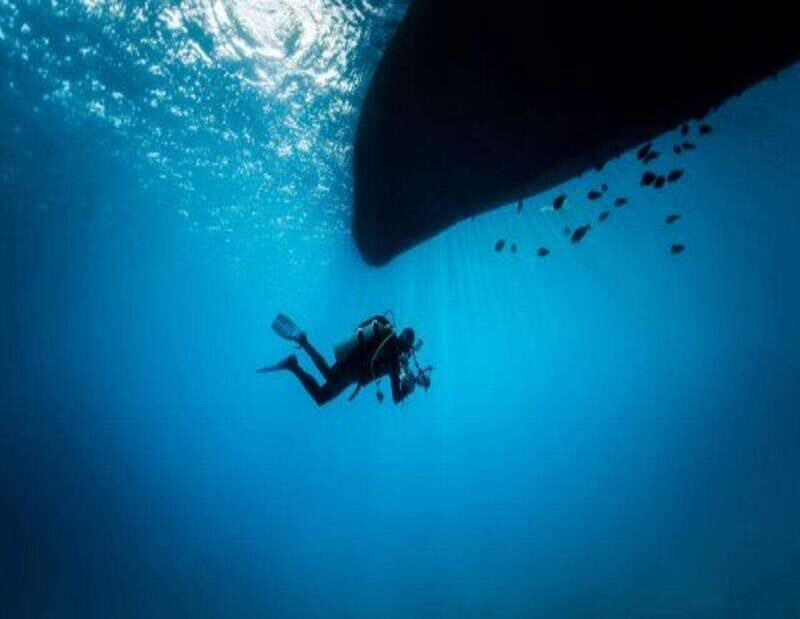 Playa: Night Dive - Who Should Consider This Tour?