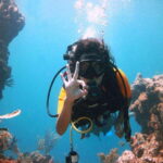 Playa: PADI Dive Master - The Course Overview and What to Expect