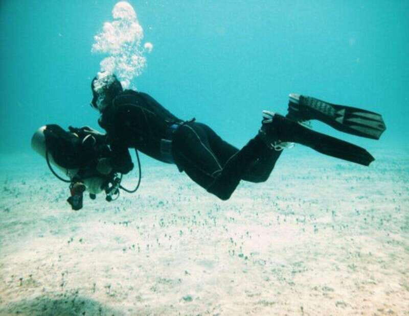 Playa: Rescue Diver - What to Expect from the Rescue Diver Course