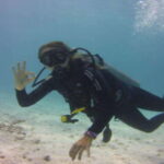 Playa: Scuba Discovery - What do reviews say?
