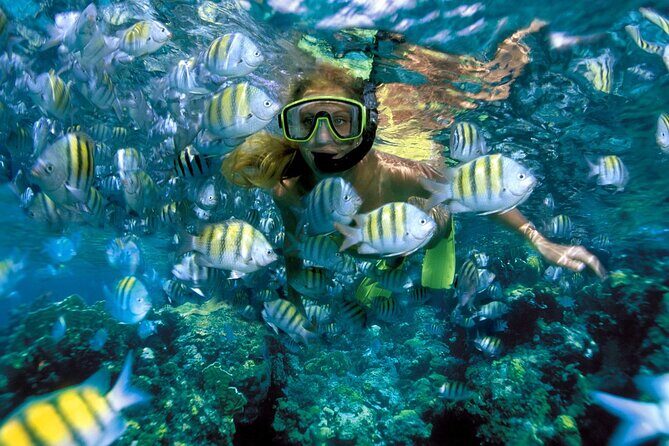 Plus Full Day Catamaran Tour to Isla Mujeres All Inclusive - Snorkeling in Crystal Waters